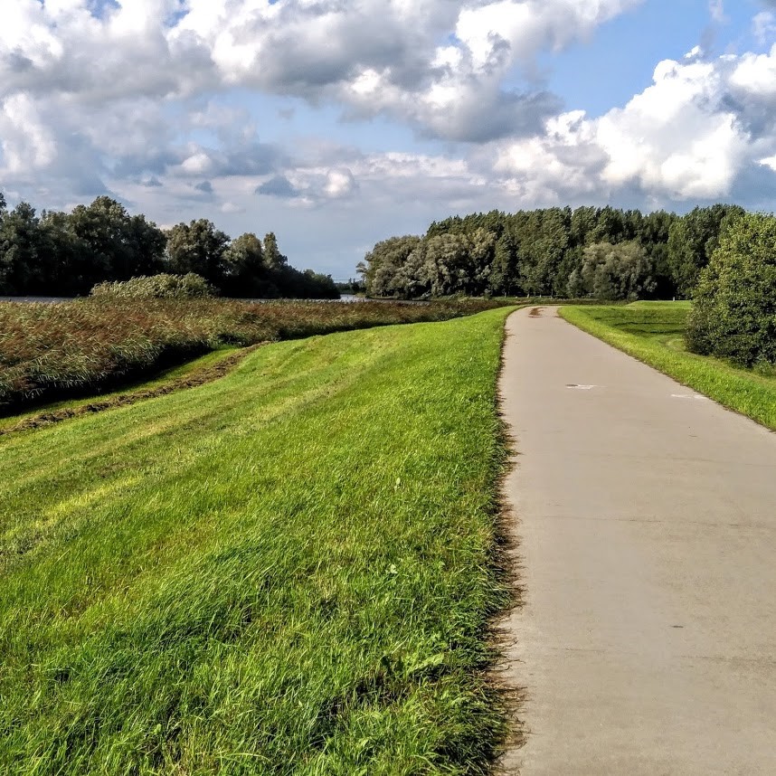 Welcome to Pagan Federation International | PFI